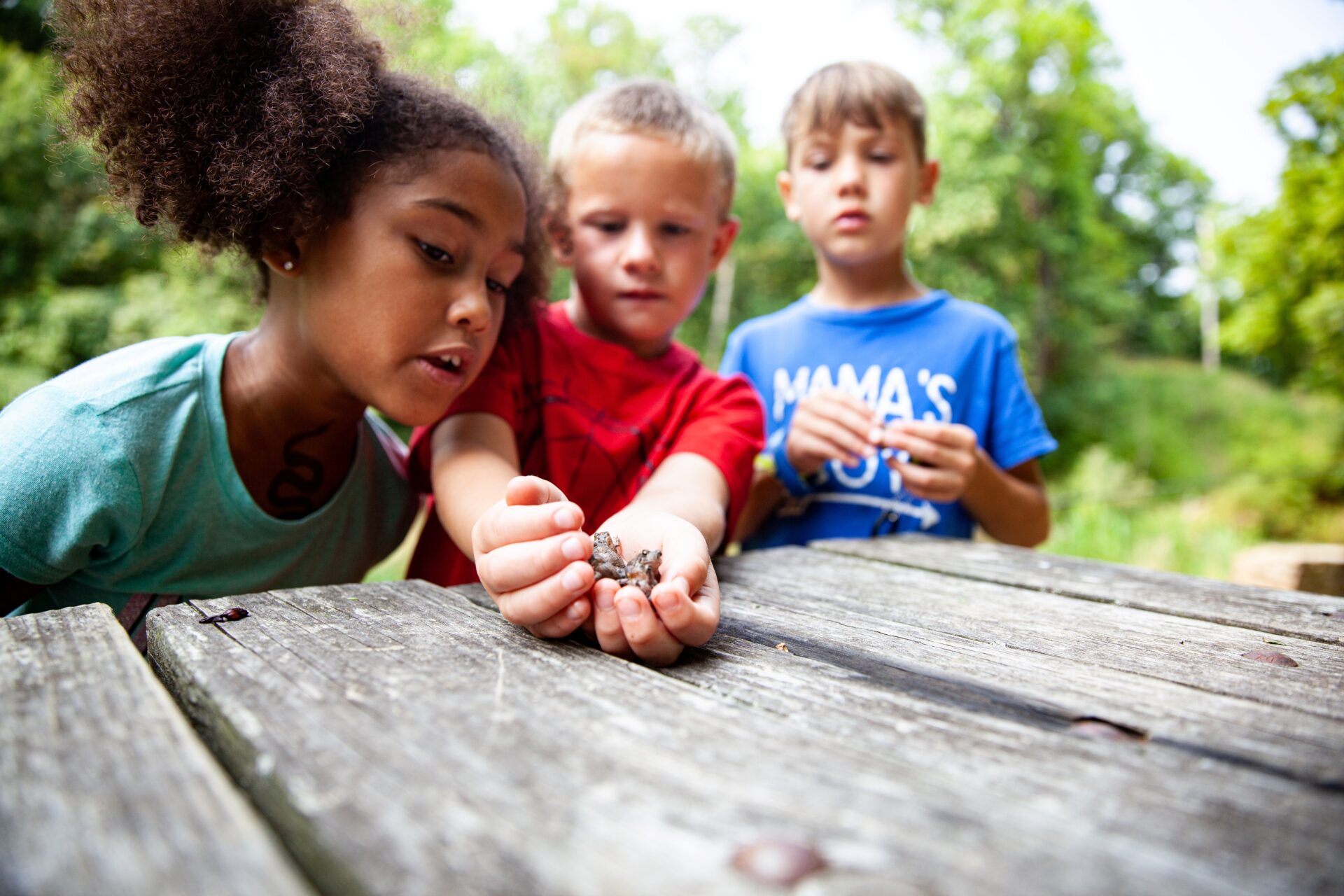 Day Camp | YMCA Camp Ernst